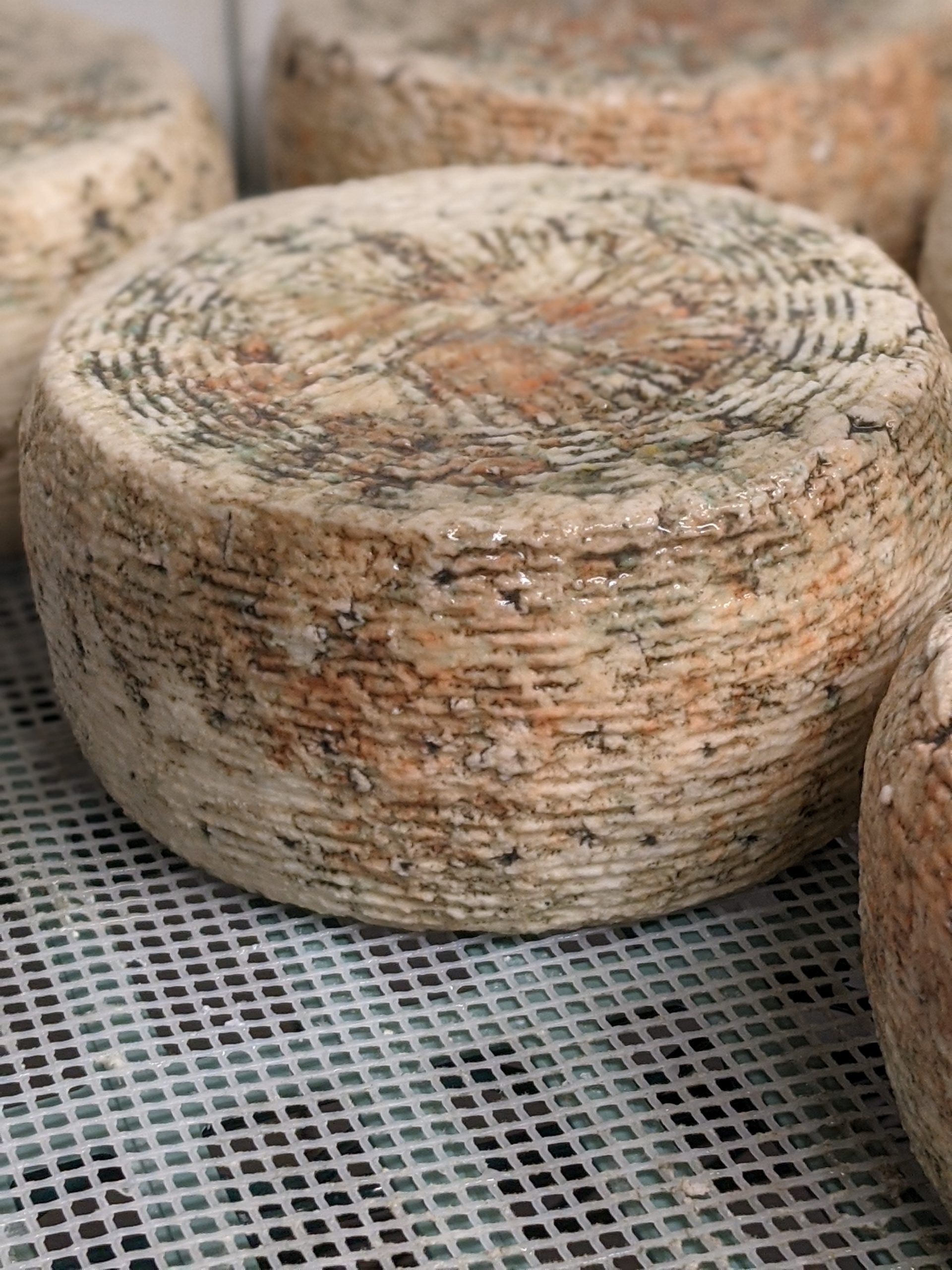 Home - Mt Lehman Cheese